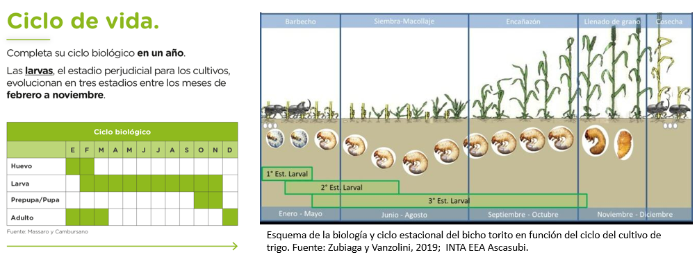 Manual Fitosanitario